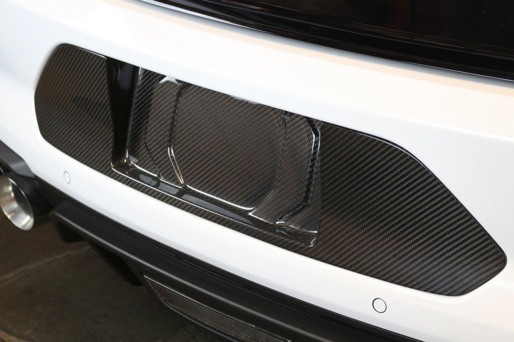 APR License Plate Backing Ford Mustang S550 (2018-2023) [Carbon Fiber]