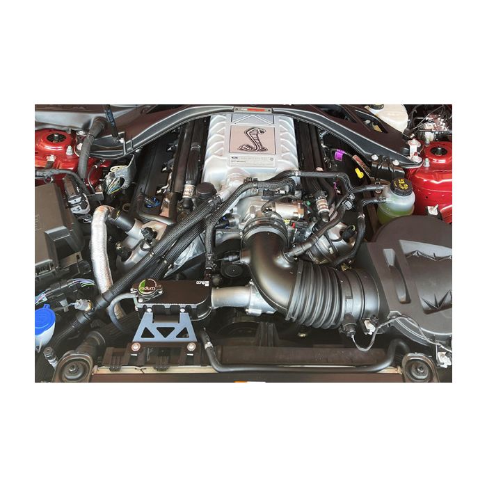 Radium Engineering Coolant Tank Kit Ford Mustang (2015-2023) 20-0286