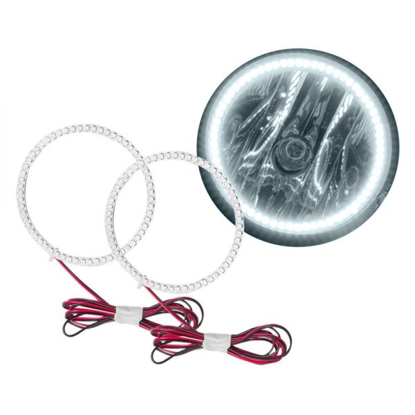 Oracle LED Fog Light Halo Kit Dodge Viper SRT-10 (2003-2009) Multicolo