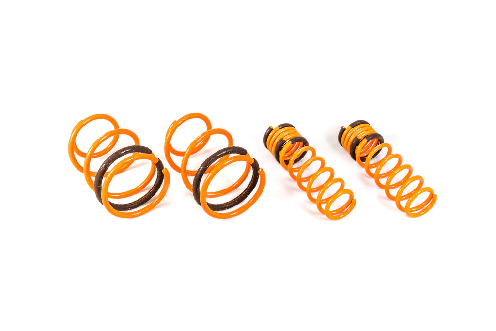 ARK GT-F Lowering Springs Mitsubishi Lancer Evolution X (2008-2011)
