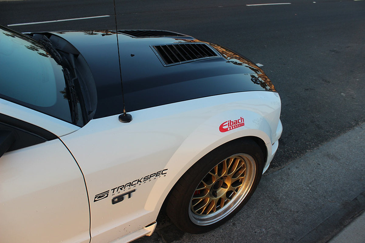 Trackspec Hood Louvers Ford Mustang GT500 S197 (05-10) Vents Kit